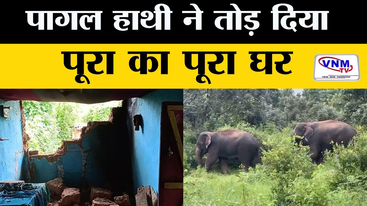 हाथियों का यह आतंक देखकर आप रह जाएंगे दंग I VNMTV - YouTube