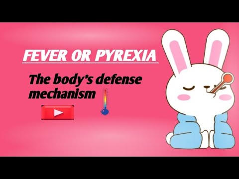 UNDERSTANDING FEVER|THE BODY'S DEFENSE MECHANISM 🌡️ - YouTube