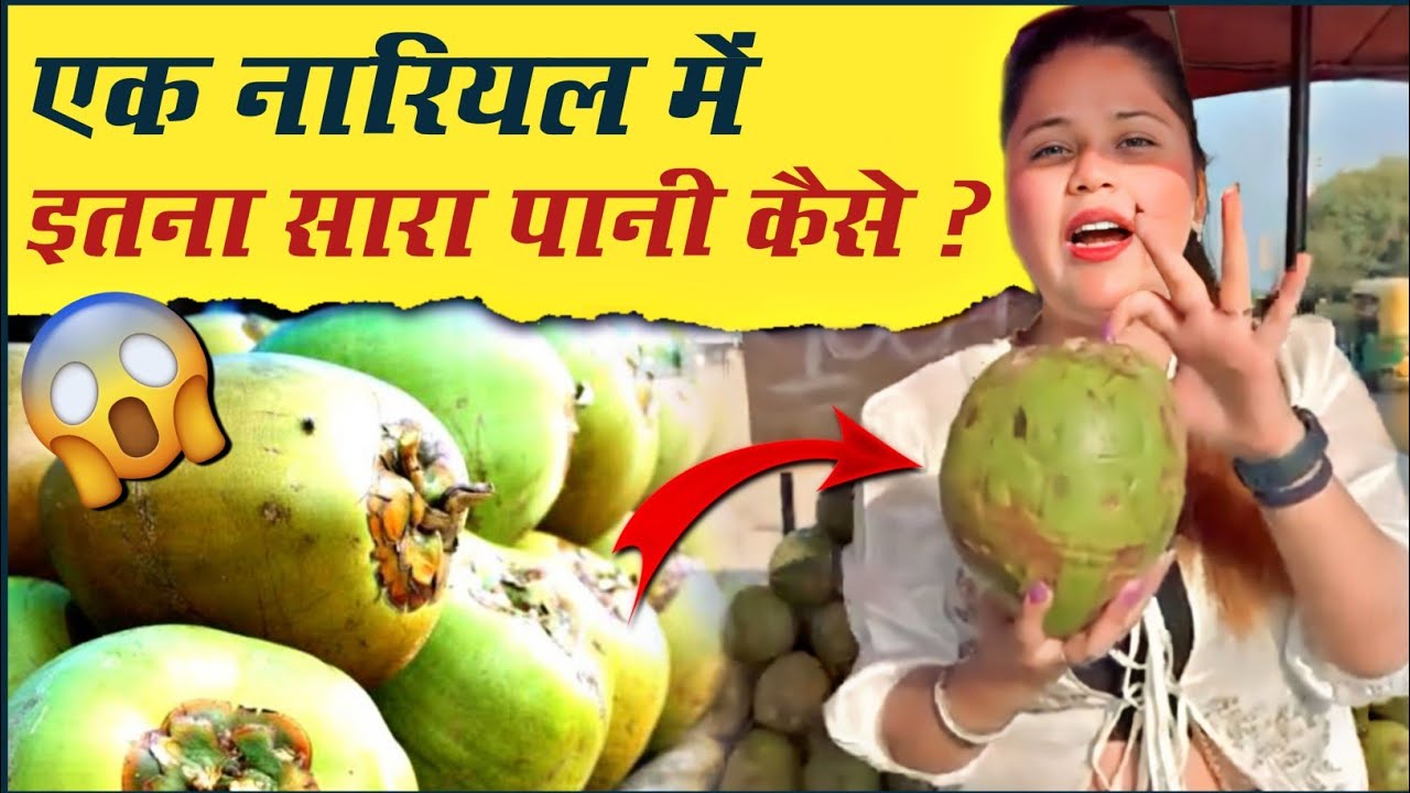 सबसे ज्यादा पानी वाला नारियल || India’s cheapest nariyal paani ₹100 ke ...