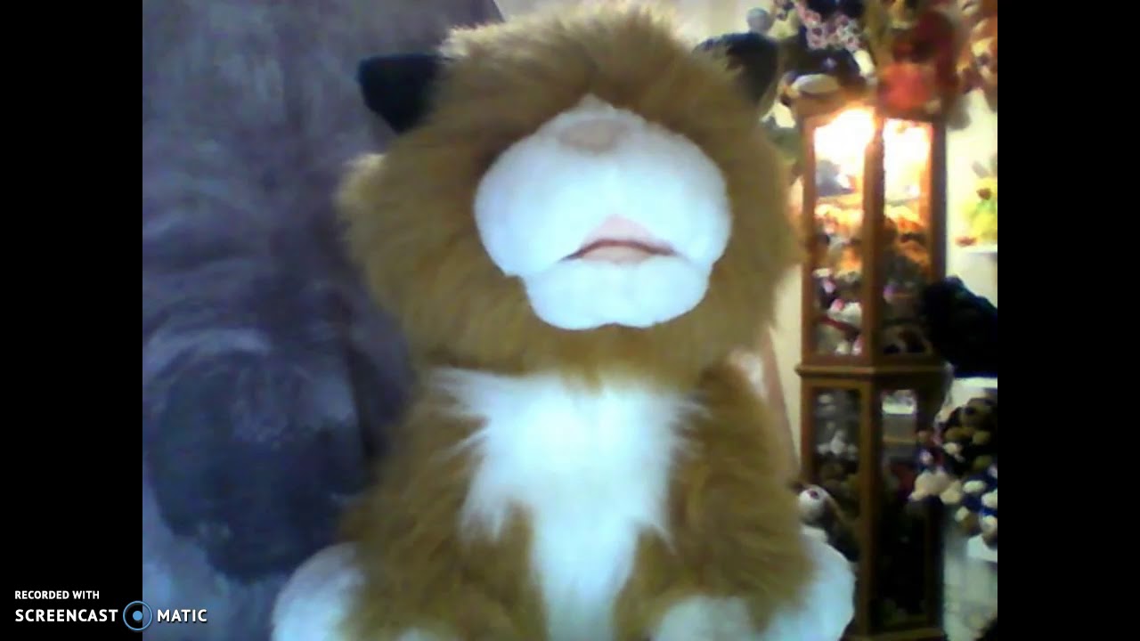 singing cat low batteries - YouTube