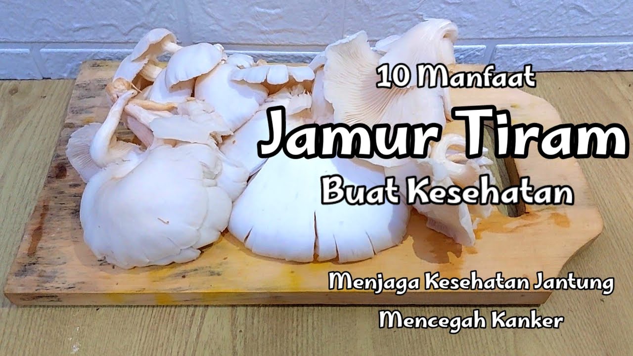 10 Manfaat Jamur Tiram Yang Luar Biasa Buat Kesehatan - YouTube