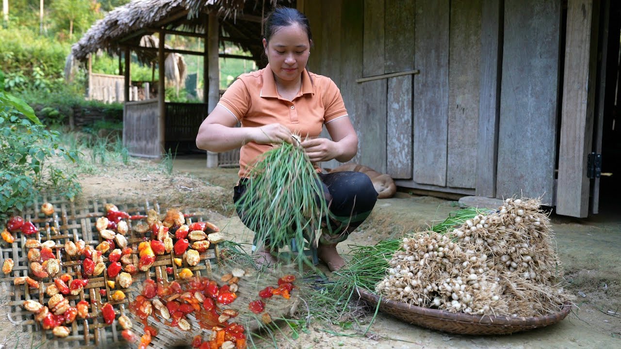 Harvest & Preserve Cucumber Seeds, Bitter Melon, Onion - Build animal ...