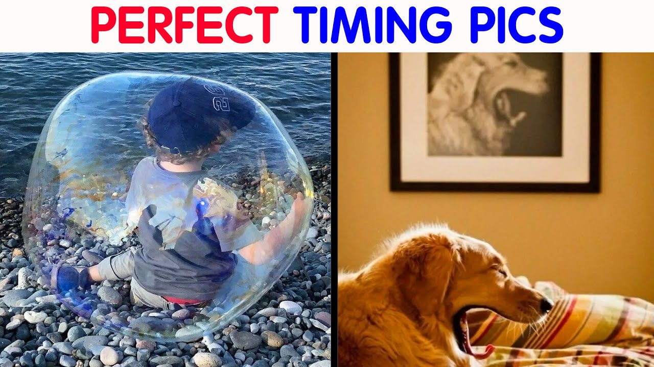 Funny, Interesting And Weird Pics That Were Taken At The Perfect Time ...