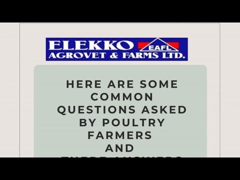 COMMONLY ASKED QUESTIONS BY POULTRY FARMERS AND THEIR ANSWERS - YouTube
