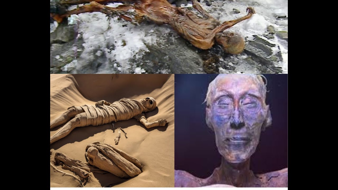 unlocking the past: discovering the hidden stories of ancient mummies ...