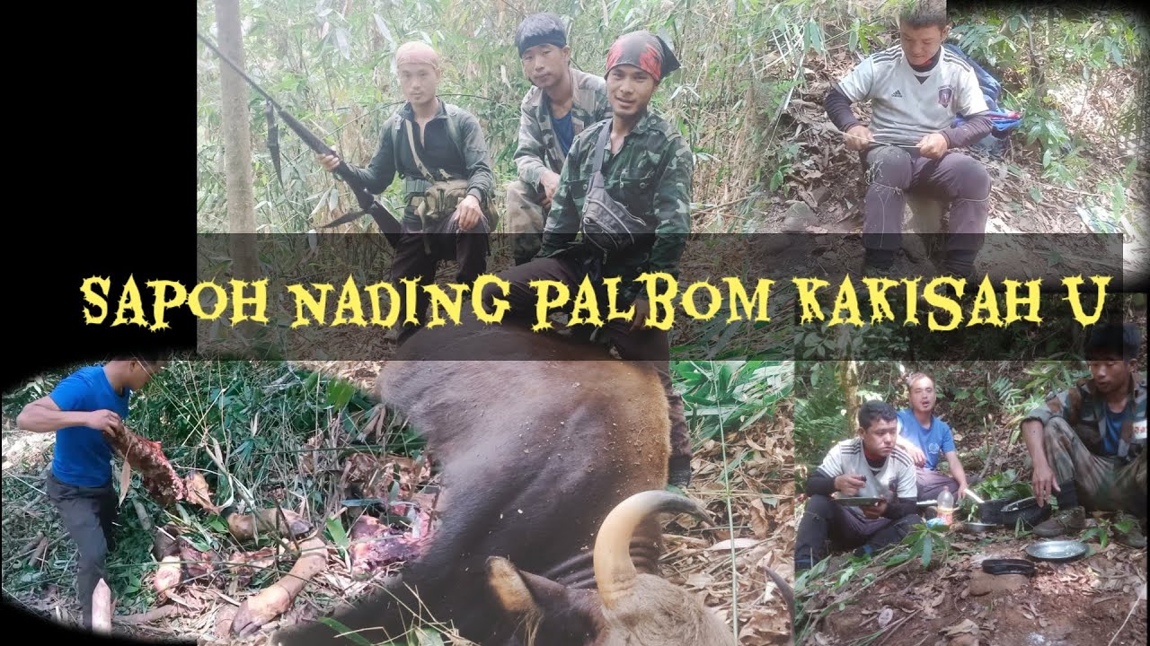 Sapoh nading palbom/sabom kakisah taove|| - YouTube