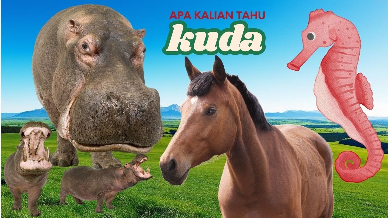 Hewan Yang Memiliki Nama Depan Kuda - YouTube