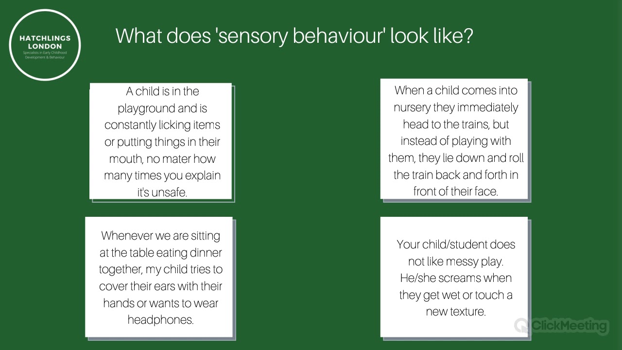 Understanding 'Sensory' Behaviour Webinar - YouTube