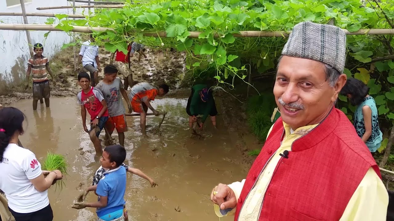 NATIONAL RICE PLANTATION (Day Celebration at Pathik Gyan Niketan) - YouTube