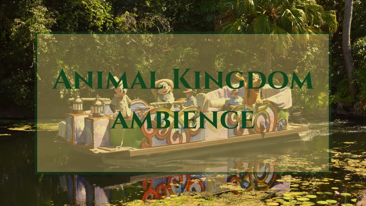 wdw animal kingdom ambience - YouTube