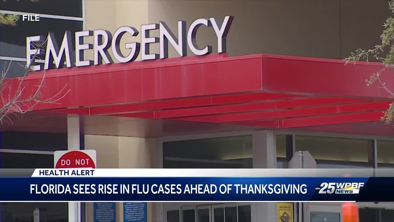 Florida flu cases rise as Thanksgiving nears — how to protect yourself ...