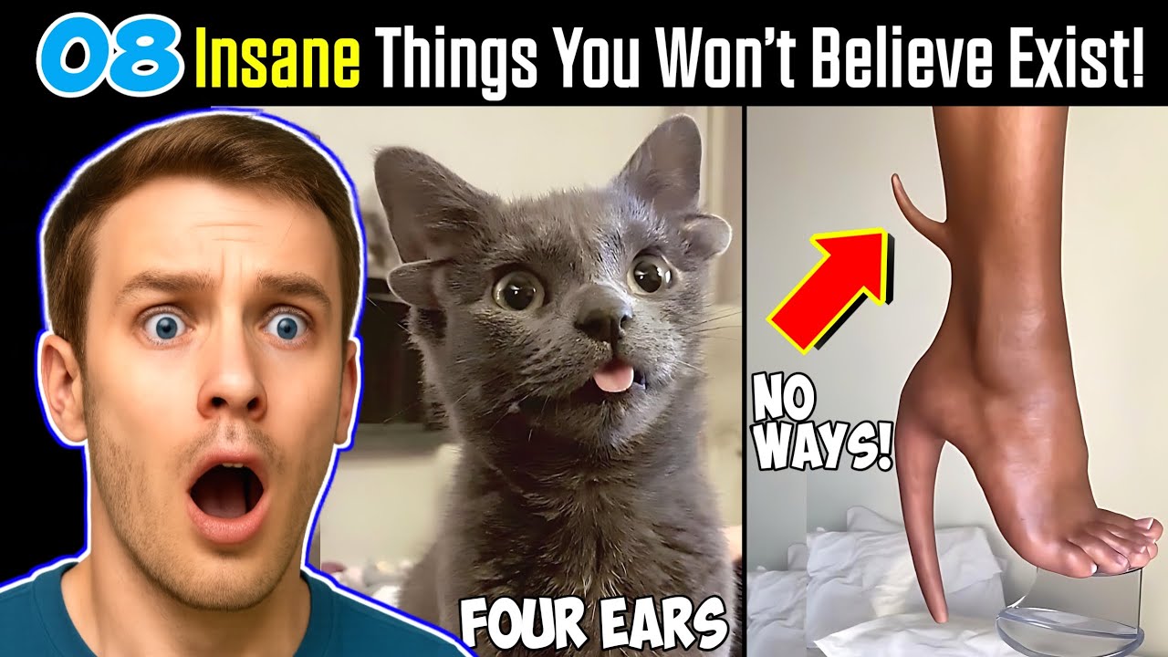 08 UNBELIEVABLE Things You’ve NEVER Seen Before | Part 2 | Brian ...