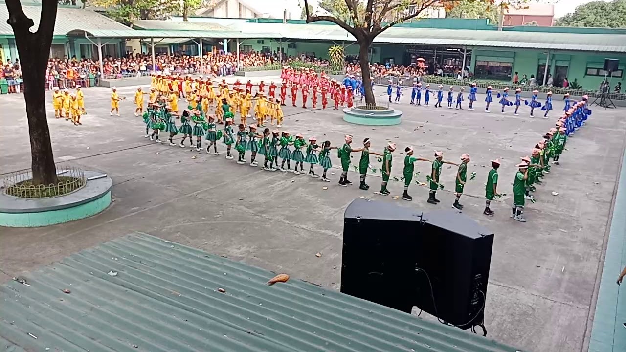 Field demo grade 5 of st.matthew college - YouTube