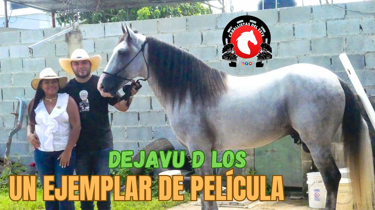 ISAURY DE LOS SANTOS NOS CUENTA LA HISTORIA DE UNO DE LOS EJEMPLARES ...