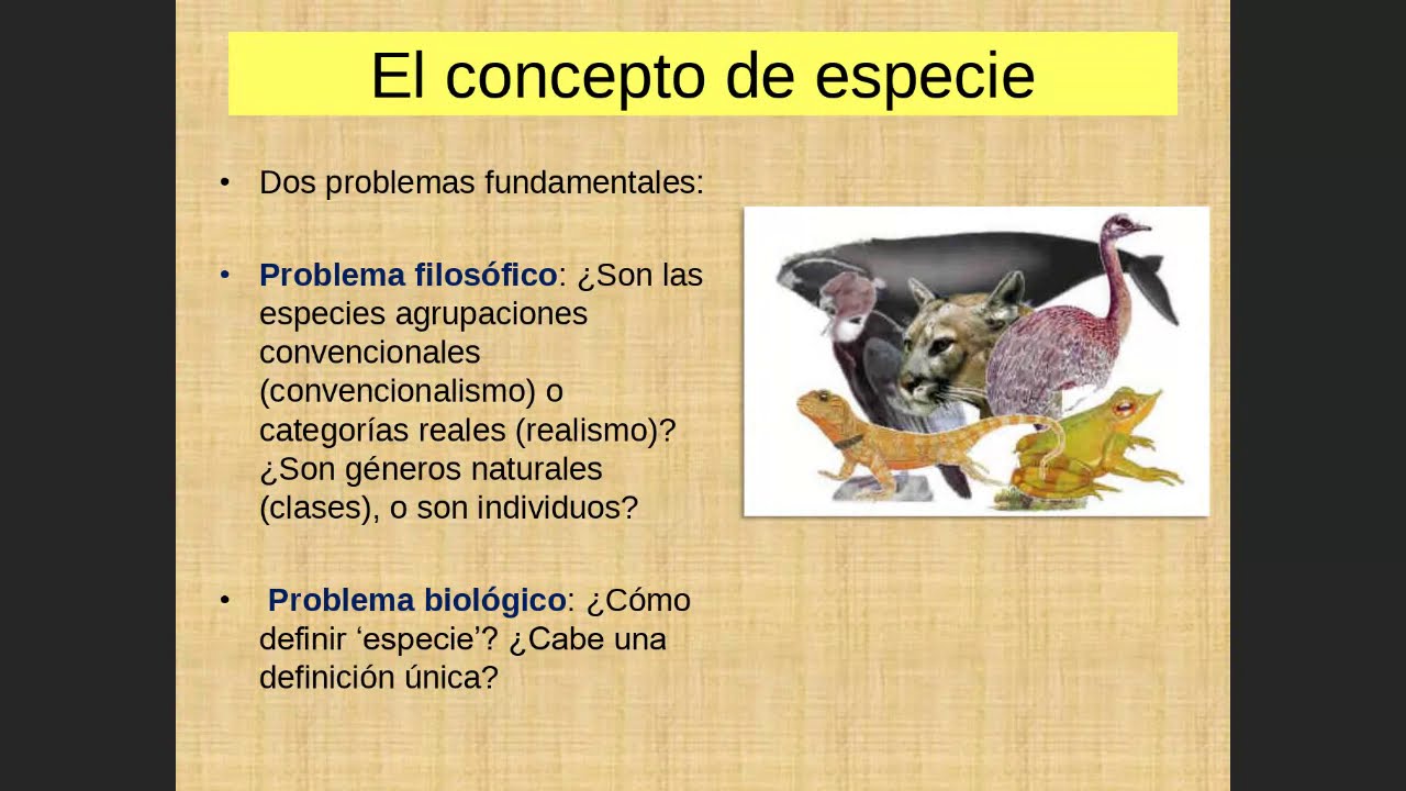 Filosofía de la Biología. Tema 7(1) El concepto de especie 1ª parte ...