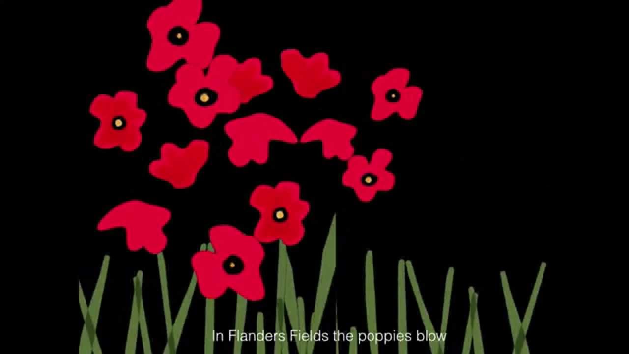 In Flanders Fields Animation - YouTube