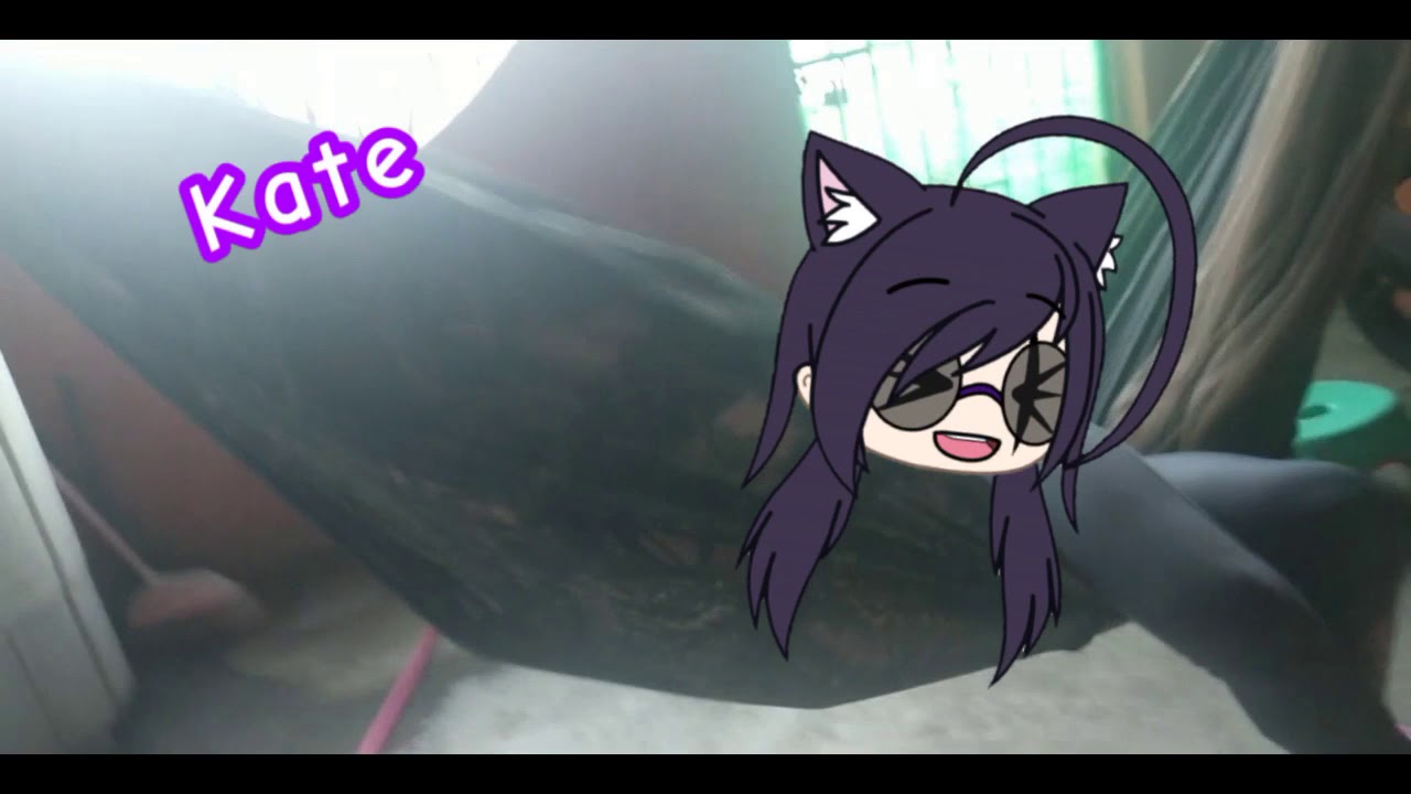 oKeH kAyOh?¿?(Random video) - YouTube