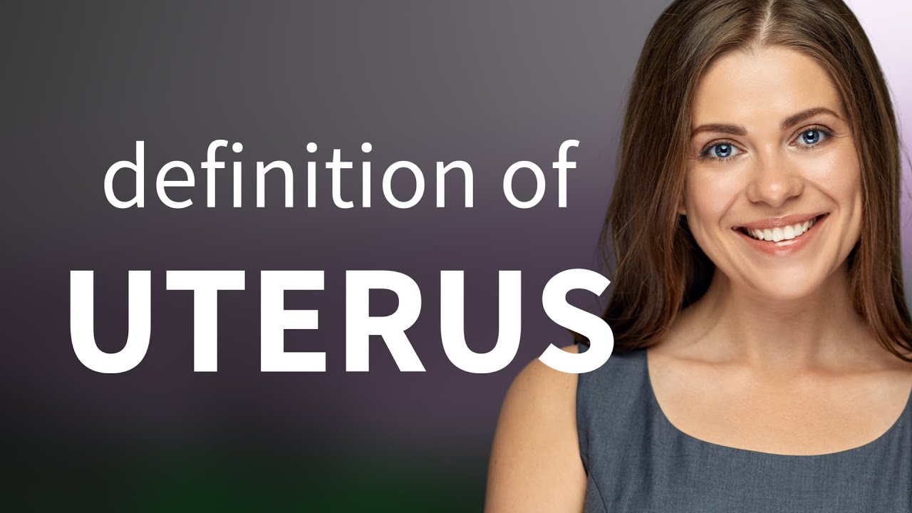 Uterus | what is UTERUS definition - YouTube