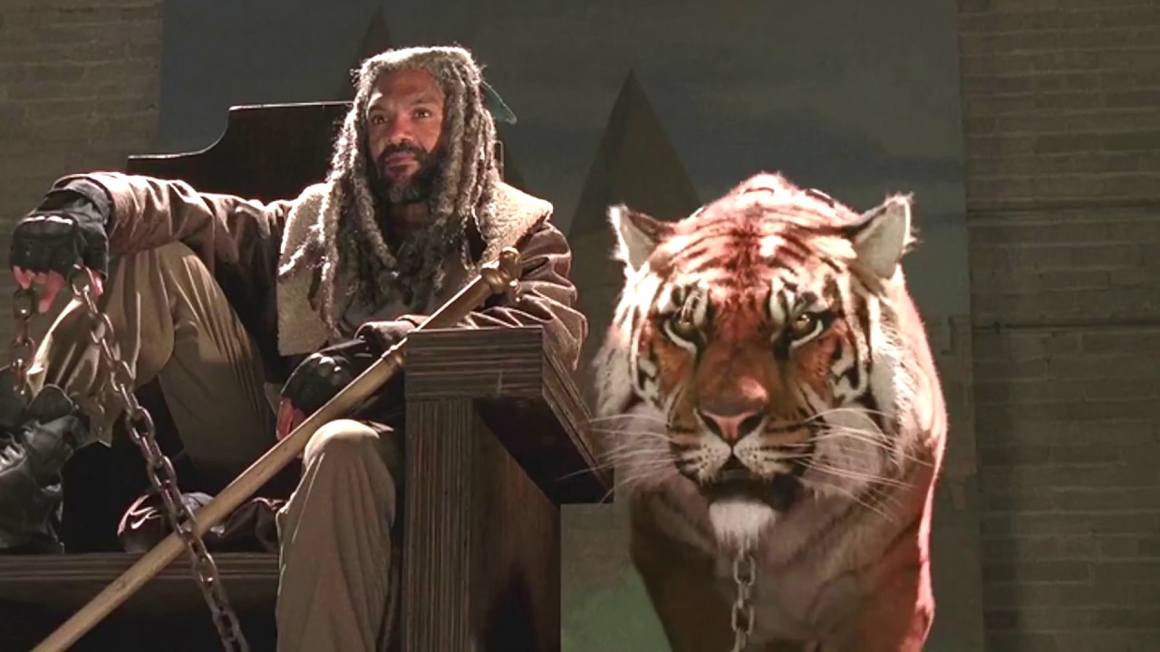 He wants to Bring Out the Tiger in You! - YouTube