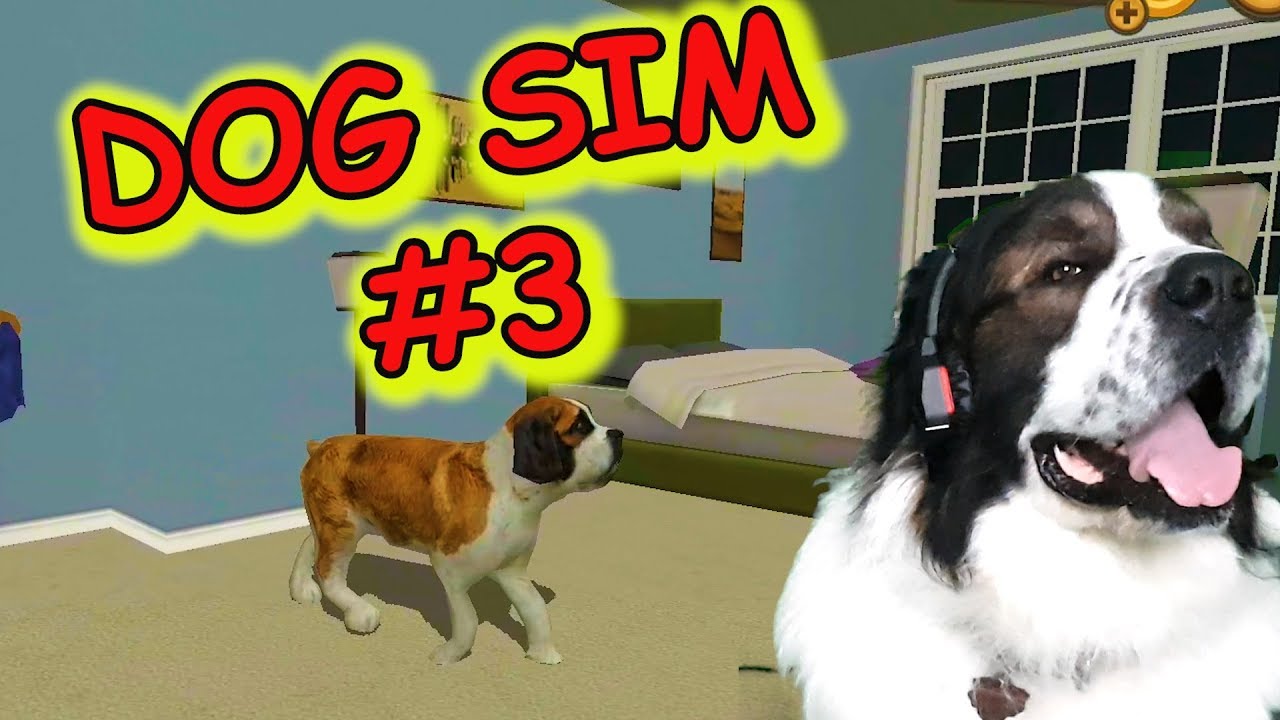 Dog Sim #3. Нашел свой дом. Симулятор собаки онлайн. Прохождение - YouTube