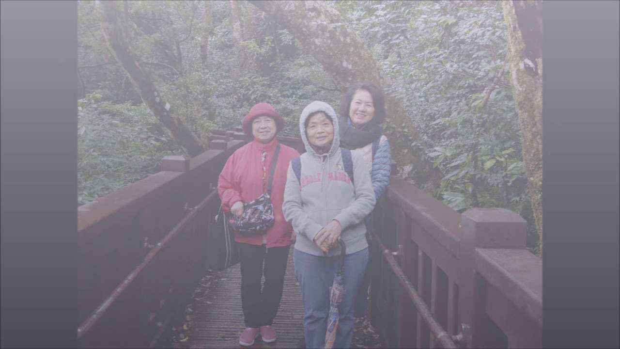 The road we traveled Erziping trail, Yangmingshan Nat Park, Taipei ...