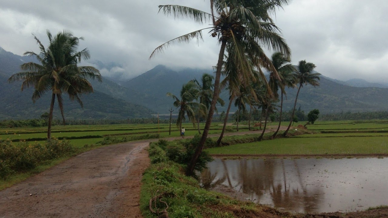village Landscapes,India, Tamil nadu,Thenkasi - YouTube