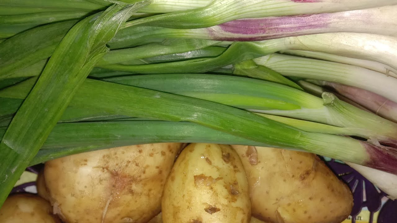 Piya Jackie Saga Aalu ki sabji, aloo pyaja ki recipe - YouTube