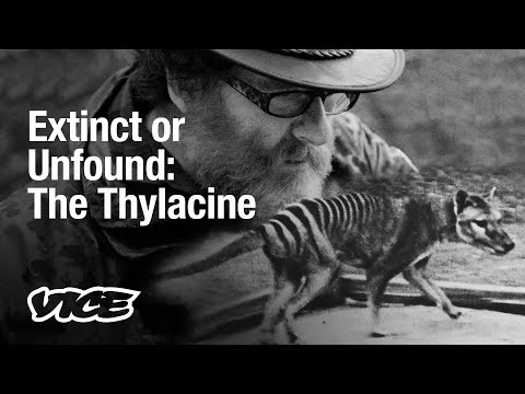 Australia’s Own Tiger King: The Obsessive Hunt for Australia’s Lost Marsupial Beast