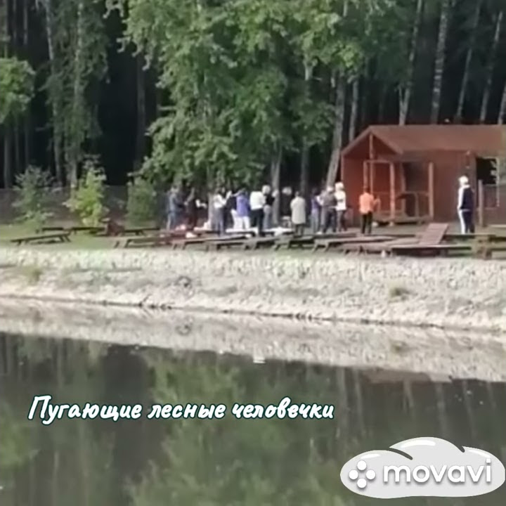 Лесные человечки. 27.08.2020🌳🌲 - YouTube