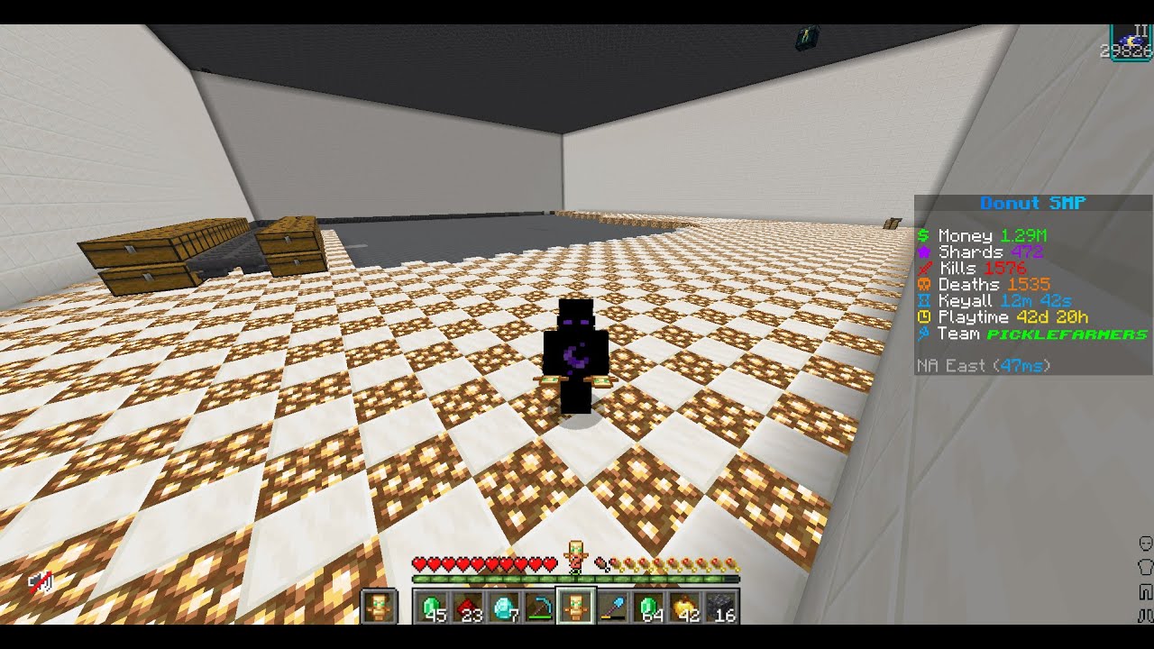 DONUT SMP LIVE + BASE RATES AND FFAS (MAKING MASSIVE PICKLE FARM) - YouTube