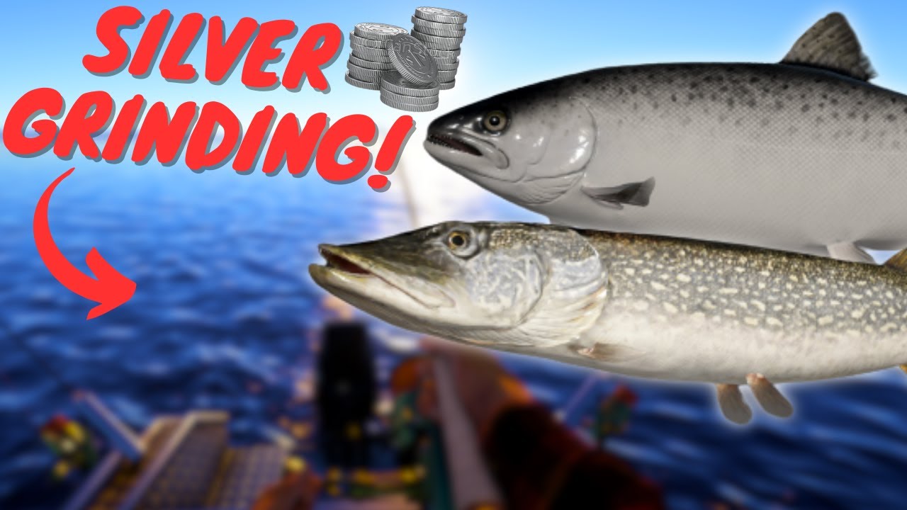 GRINDING SILVER IN LADOGA ARCHIPELAGO! | #736 Russian fishing 4 - YouTube