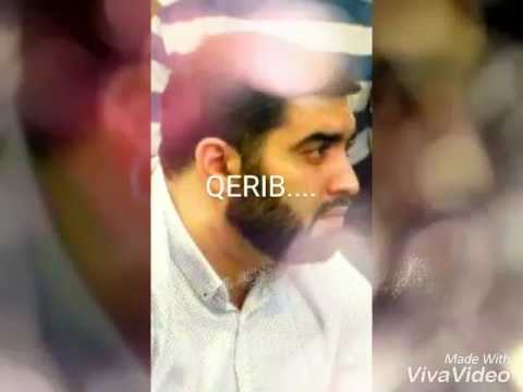 Bir Qeribin sevgi hekayesi
