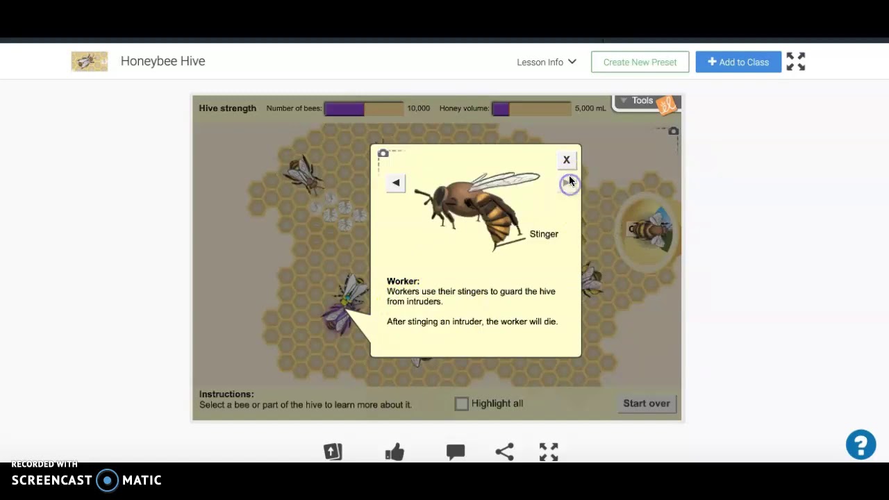 Science Gizmos (Honeybee Hive) - YouTube
