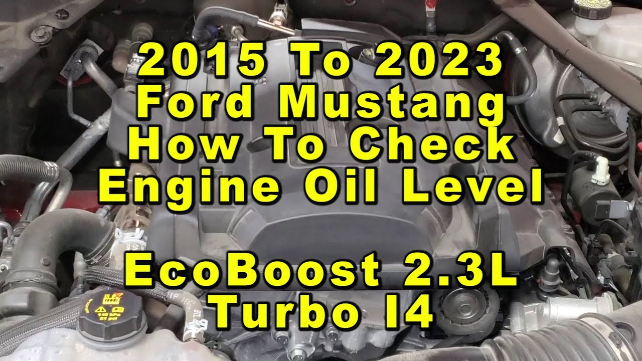 Ford Mustang How To Check Engine Oil Level EcoBoost 23L Turbo I4 2015 ...