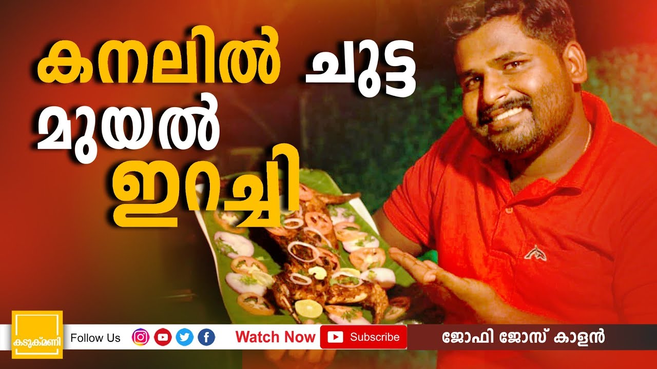 Yummy Rabbit Grilled Recipe || RABBIT CHILLI || കനലിൽ ചുട്ട മുയൽ ഇറച്ചി ...