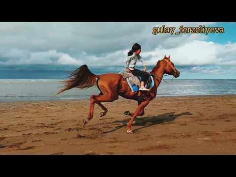She riding horse 11 year Gulay Farzaliyeva at belinde  11 yasli qiz at capar