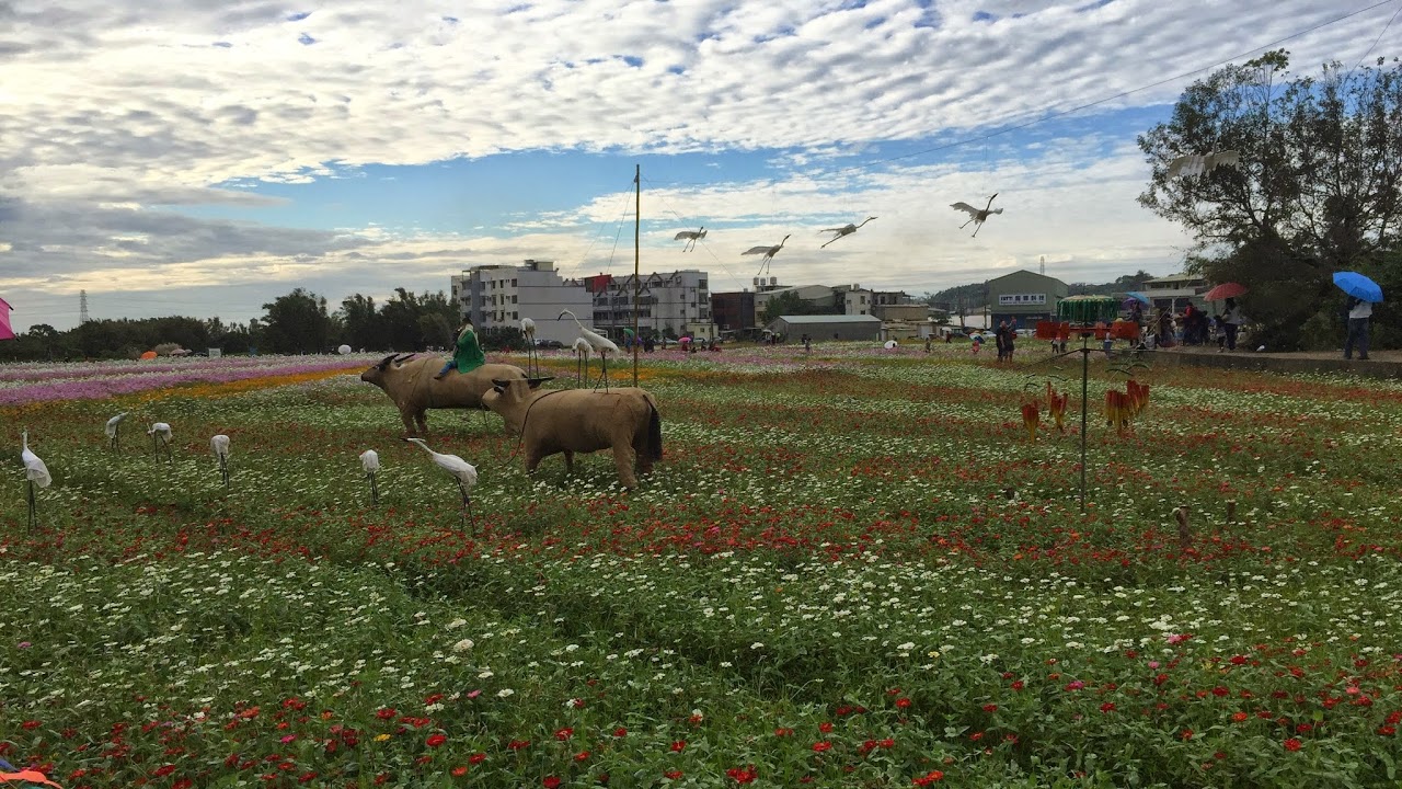 「ASea Lin」直播 - YouTube