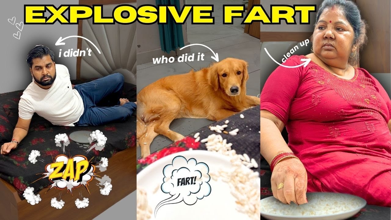PeaNut Golden Retriever's Explosive Fart! #dog #goldenretriever #doglover #puppy #shorts - YouTube