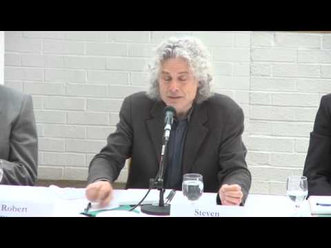 Steven Pinker and Robert Pippin Pt. 2 Human Rights and the Humanities ...