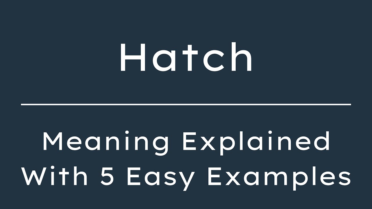 What Does Hatch Mean? Hatch Meaning in English With 5 Example Sentences ...