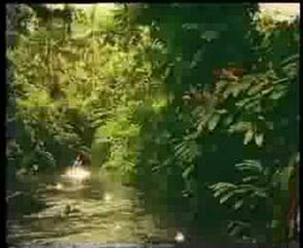 Moove Milk - Australian ad 1982 - YouTube