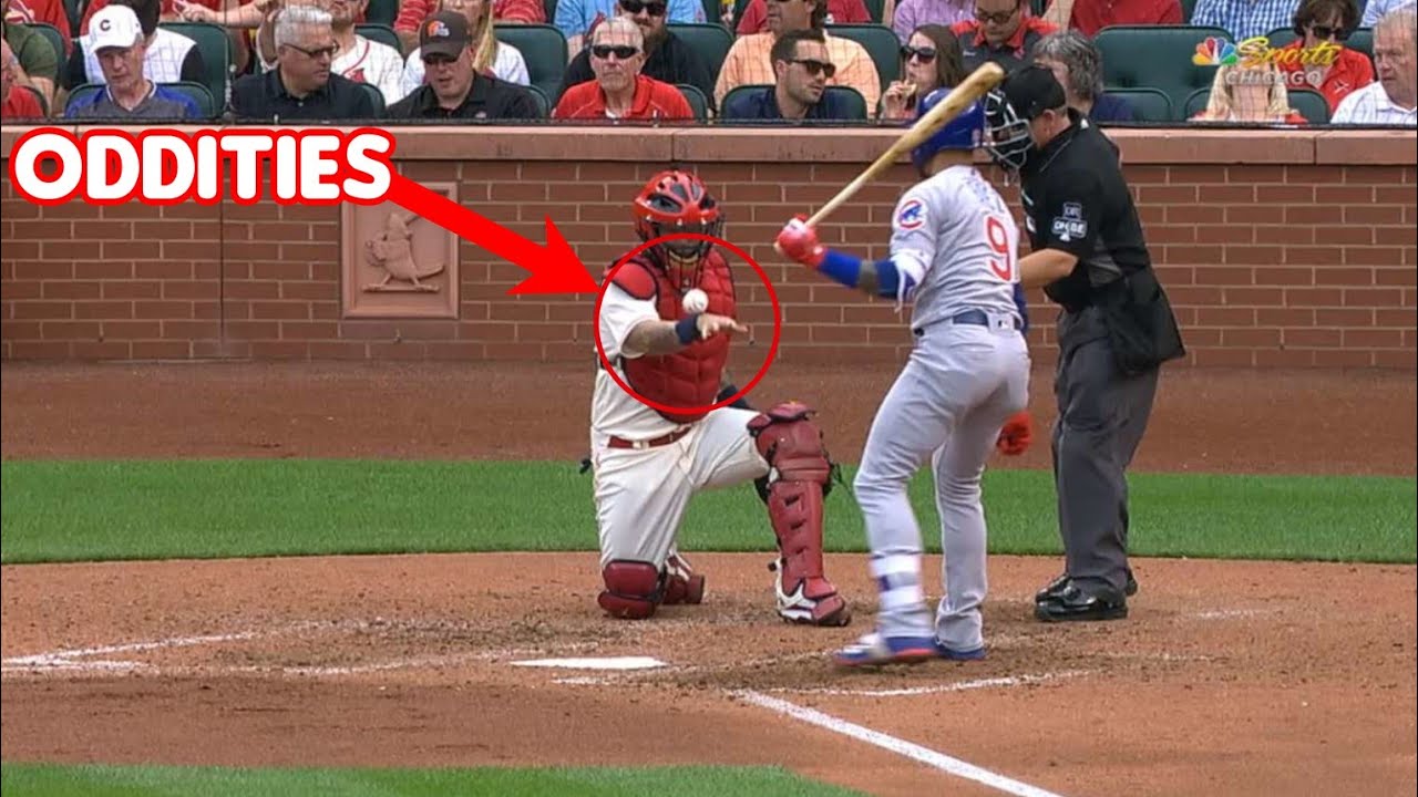 MLB | Oddities and Hilarious Bloopers - YouTube