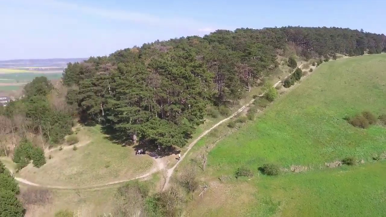 Falkenheim Asse - YouTube