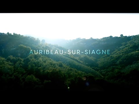 Auribeau sur Siagne | Drone