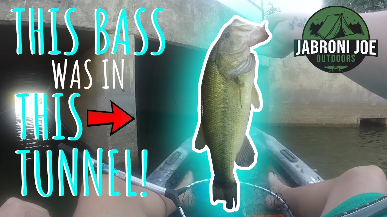Catching DITCH PICKLES (Bass) In A TUNNEL? | 150 Subscriber Special ...