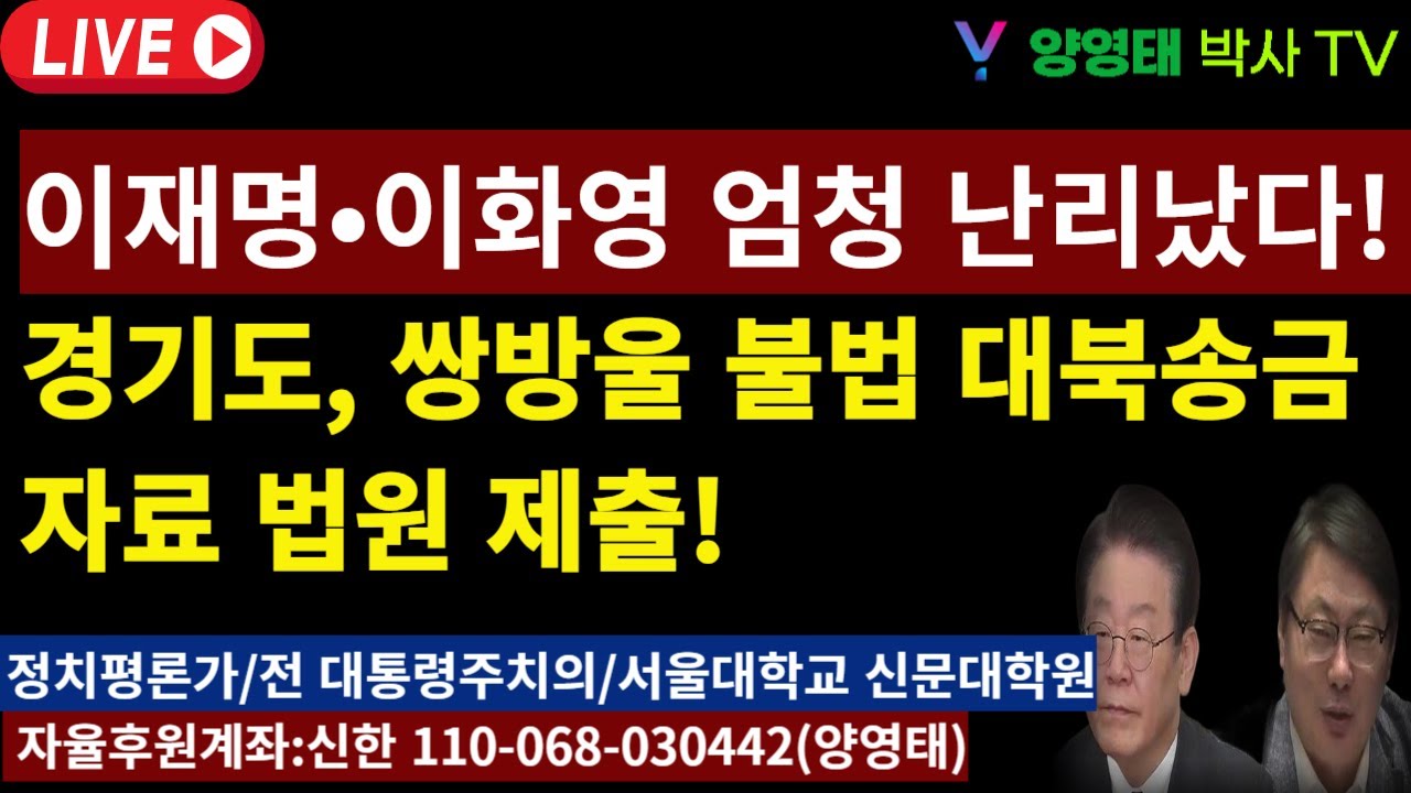 이재명•이화영 엄청 난리났다 경기도 쌍방울 불법 대북송금 자료 법원 제출 2024 08 10 Youtube