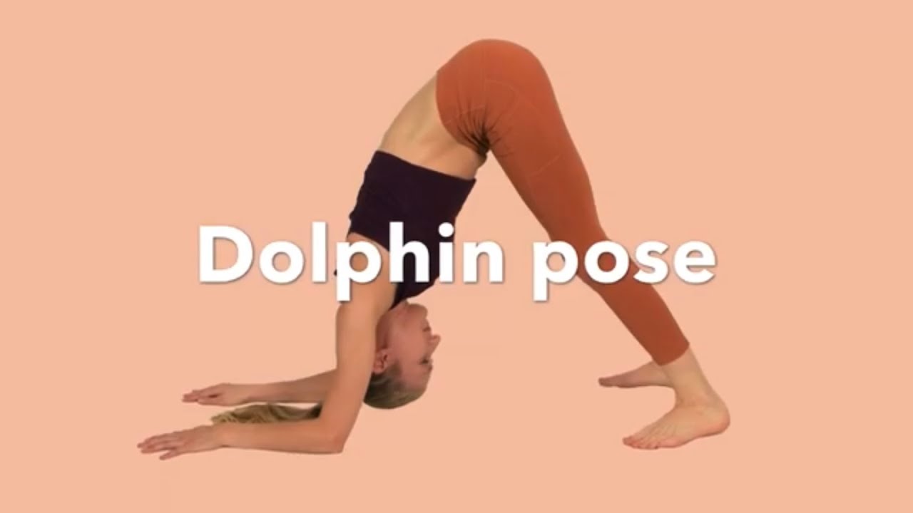 Dolphin Pose Yoga Flow - Week 5, Day 1 - YouTube