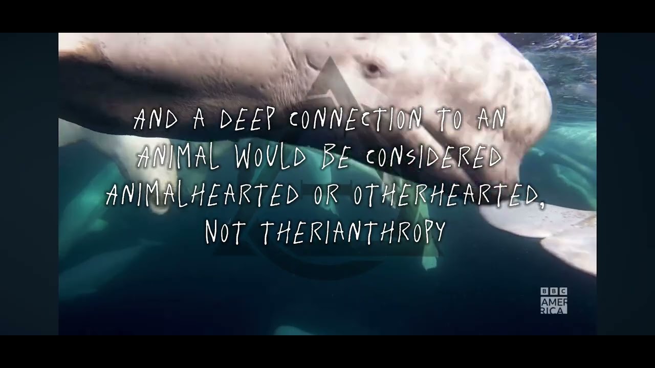 THERIANTHROPY EXPLAINED what is therianthropy? #therian #therianthropy ...