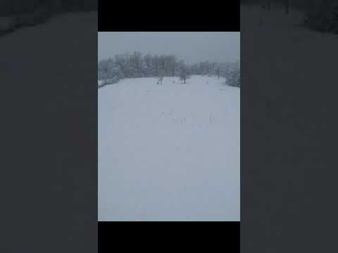 Borcalı beyteker kendi