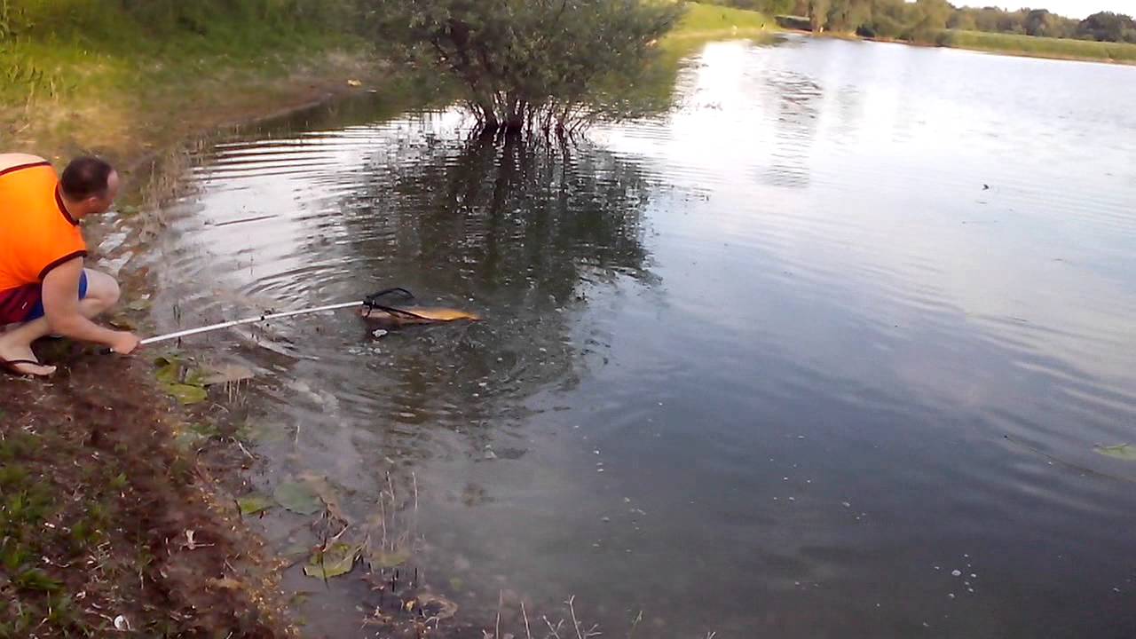 Linjak palovec i zlicko - YouTube